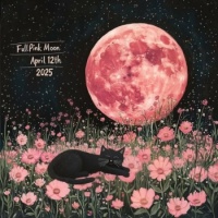 Jigsaw Puzzle Categories | Jigidi.com