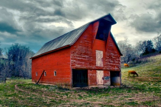 Solve Old Red Barn & Landscape jigsaw puzzle online with 247 pieces