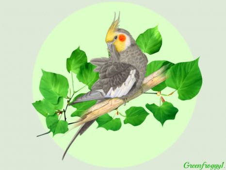 Solve PUZZLE - Cockatiel jigsaw puzzle online with 234 pieces