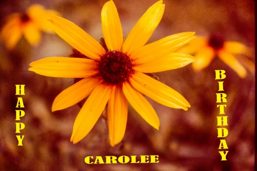 Solve Happy Birthday, Carolee (okieclem) jigsaw puzzle online with 12 ...