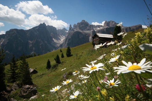 Solve Alta Badia - Italy jigsaw puzzle online with 600 pieces