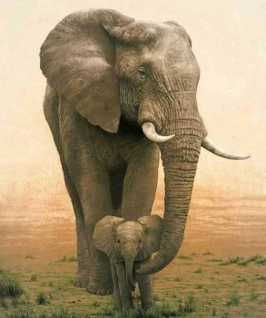 Solve Mother elephant protecting her baby jigsaw puzzle online with 99 ...