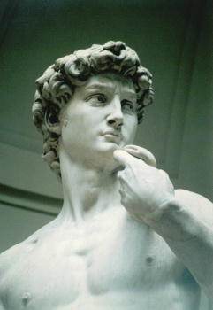 Solve the real David -as seen in Florence-he is incredible jigsaw ...