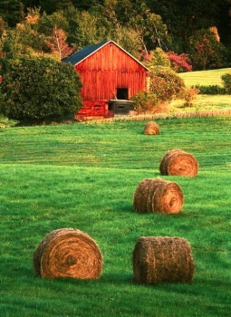 Solve Old Red Barn by the Pasture with Baled Hay.... jigsaw puzzle online with 35 pieces