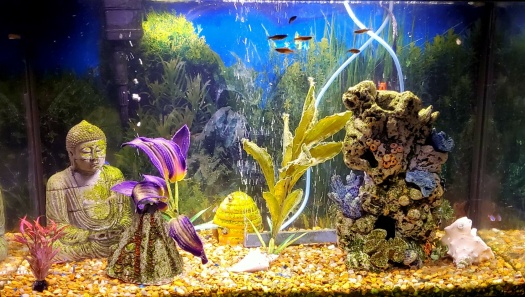 Solve Fish house jigsaw puzzle online with 405 pieces