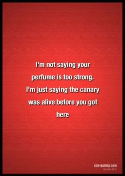 Solve I'm not saying your perfume is too strong jigsaw puzzle online ...