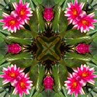 Free online jigsaw puzzles | Jigidi.com