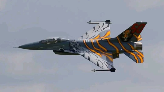Solve F-16 in NATO Tiger Meet paint scheme. jigsaw puzzle online with ...