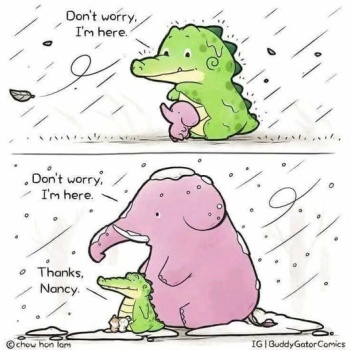 Solve Wobblybear's Fun Stuff (wbfs) - Gator - Friendship - with Nancy ...