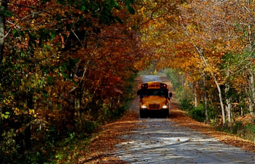 Solve Schoolbus on Spooky /Hollow Road jigsaw puzzle online with 77 pieces