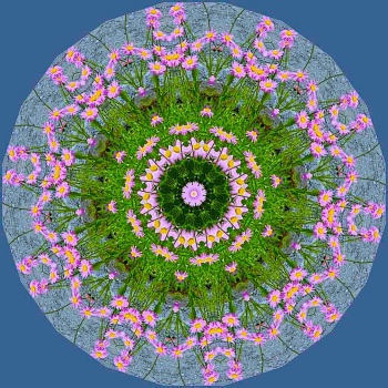 Solve #2 large jigsaw puzzle online with 144 pieces