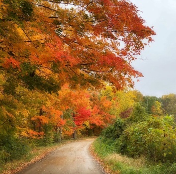 Solve Fall in Michiana (Northern Indiana) jigsaw puzzle online with 225 ...