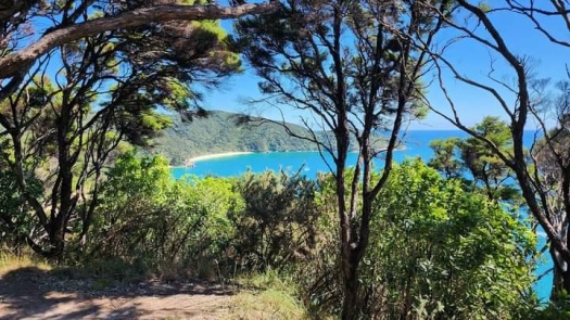 Solve Separation Point on the Abel Tasman track jigsaw puzzle online ...