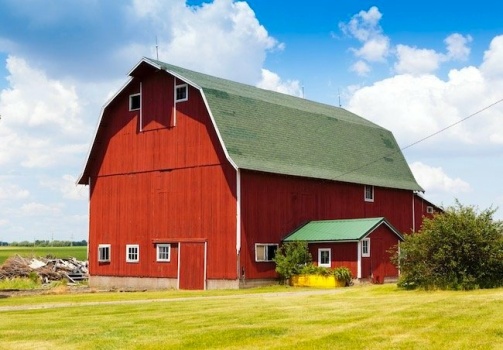 Solve Red Barn--- With Words on Why Most Barns are Red.... jigsaw puzzle online with 24 pieces