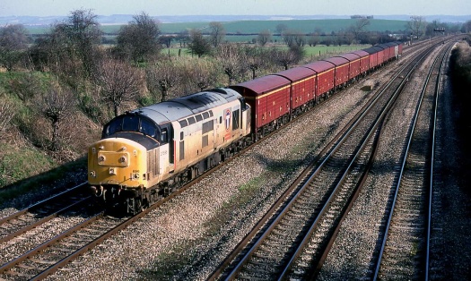 Solve BR Class 37, 37 696 in Transrail livery at Dunsomer Hill, 17th ...