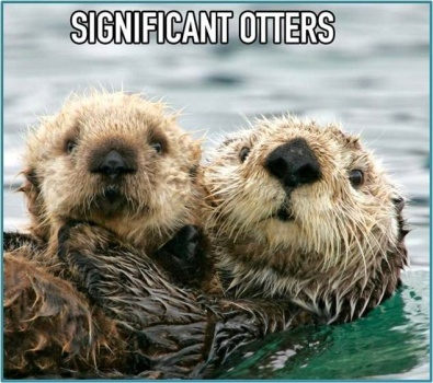 Solve Happy Wednesday from The Significant Otters! jigsaw puzzle online ...