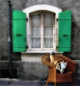 Solve Shutters: "Man who live in glass house should close shutters ...