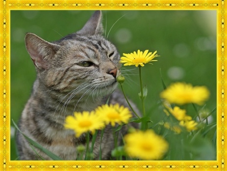 Solve Ahhhhhhhh.... How Sweet It Is !! jigsaw puzzle online with 130 pieces