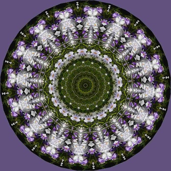 Solve #1 small jigsaw puzzle online with 64 pieces