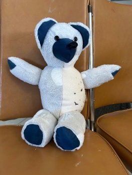Solve Dana’s bear jigsaw puzzle online with 108 pieces