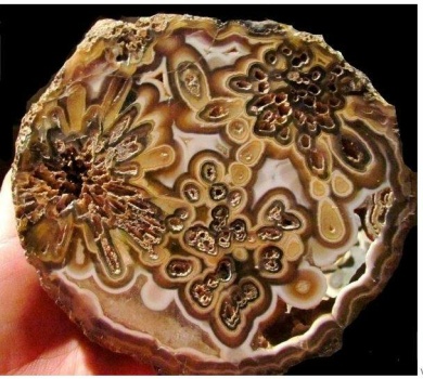 Solve Agate jigsaw puzzle online with 42 pieces