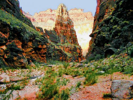 Solve Grand Canyon - Kanab Loop Trail jigsaw puzzle online with 20 pieces