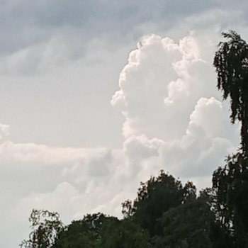 Solve OBLAKA jigsaw puzzle online with 16 pieces