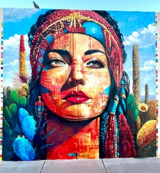 Solve Local artist in Tucson. jigsaw puzzle online with 342 pieces