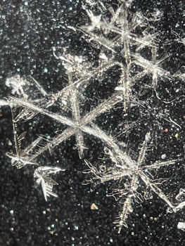 Solve Snowflake jigsaw puzzle online with 48 pieces