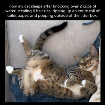 Solve A well earned rest. jigsaw puzzle online with 9 pieces