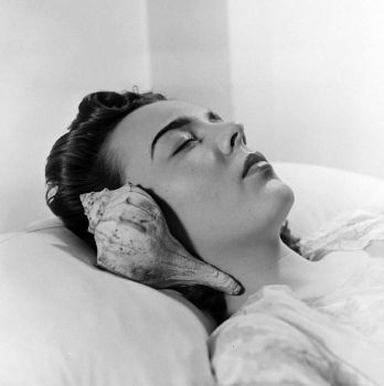 Solve *WRITE A CAPTION!* Shelly Sold Sea Shells on the Sea-Shore so ...