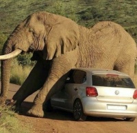 Free online jigsaw puzzles | Jigidi.com