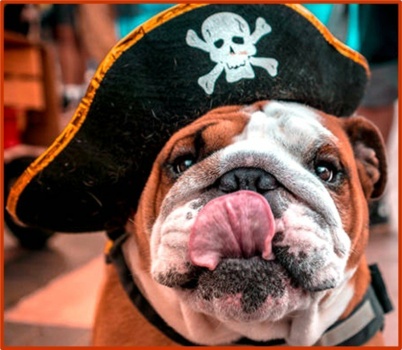 Solve Getting Ready For Gasparilla Pirate Fest 2024 In Tampa, FL jigsaw ...