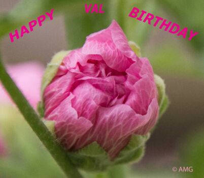 Solve Happy Birthday, Val (ValT) jigsaw puzzle online with 9 pieces