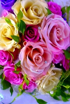 Solve Beautiful Roses jigsaw puzzle online with 70 pieces