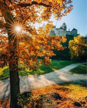 Solve Fall in Czech Republic jigsaw puzzle online with 252 pieces