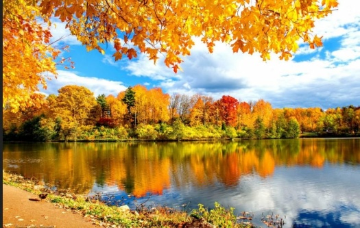Solve Autumn is on the way! jigsaw puzzle online with 40 pieces