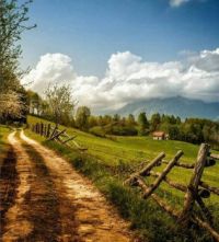 Free Online Jigsaw Puzzles