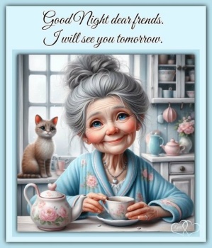 Solve Good Night...see you tomorrow.... jigsaw puzzle online with 72 pieces