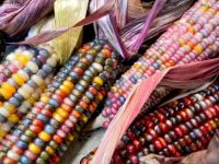 Ai puzzles | Page 7434 | Jigidi.com