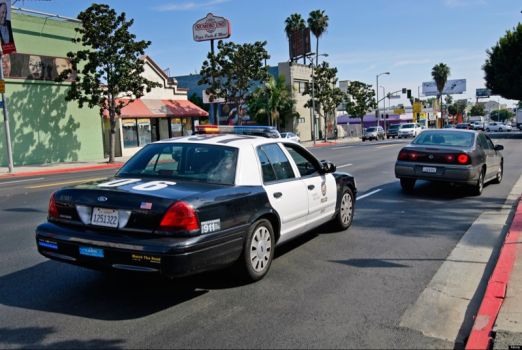 Solve LAPD Traffic Stop jigsaw puzzle online with 12 pieces