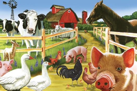 Solve A very busy farm full of animals jigsaw puzzle online with 150 pieces
