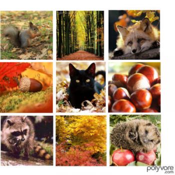 Solve Autumn animals collage jigsaw puzzle online with 49 pieces