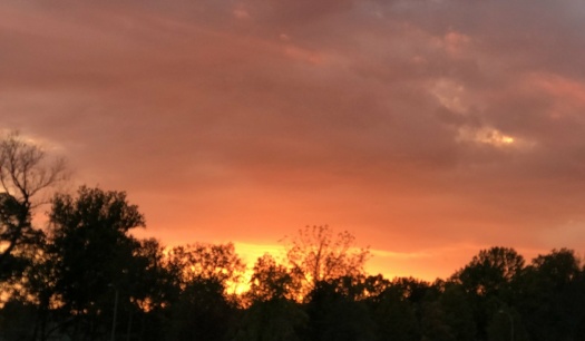 Solve Sky on Fire, Willmore Park 6:15pm jigsaw puzzle online with 15 pieces