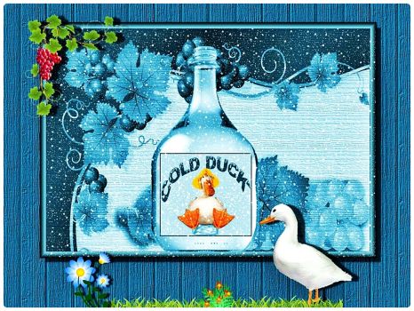 Solve Cold Duck jigsaw puzzle online with 300 pieces