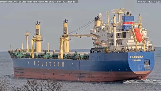 Solve Isadora, Port Huron, December 14, 2022 jigsaw puzzle online with ...