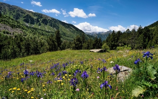 Solve Andorra_Sorteny_Nature_Park jigsaw puzzle online with 160 pieces Solve Andorra_Sorteny_Nature_Park jigsaw puzzle online with 160 pieces