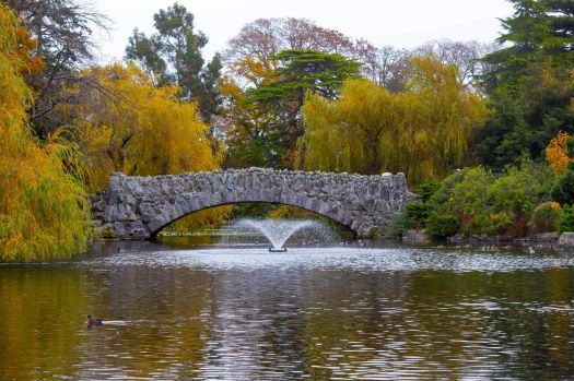 Solve Fall In Beacon Hill Park Victoria British Columbia Jigsaw