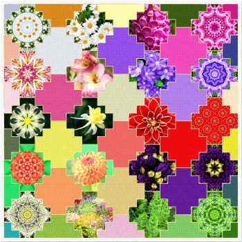 Solve Flowers and their kaleidos jigsaw puzzle online with 100 pieces