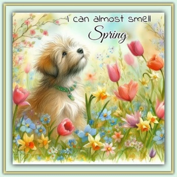 Solve Almost :) jigsaw puzzle online with 64 pieces